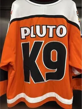 Other | Vintage Walt Disney Plutos Devil Dogs Hockey Jersey | Poshmark